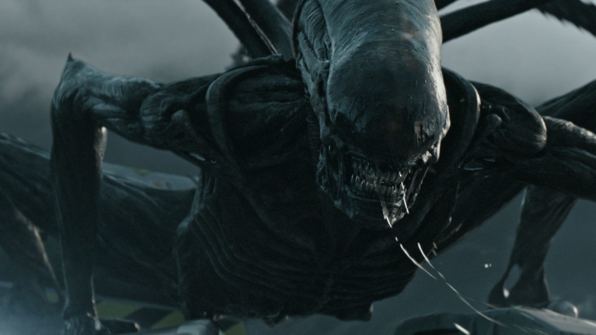 New Alien Movie From Fede Alvarez Ramps Up - Geeks + Gamers New Alien Movie From Fede Alvarez Ramps Up - Geeks + Gamers